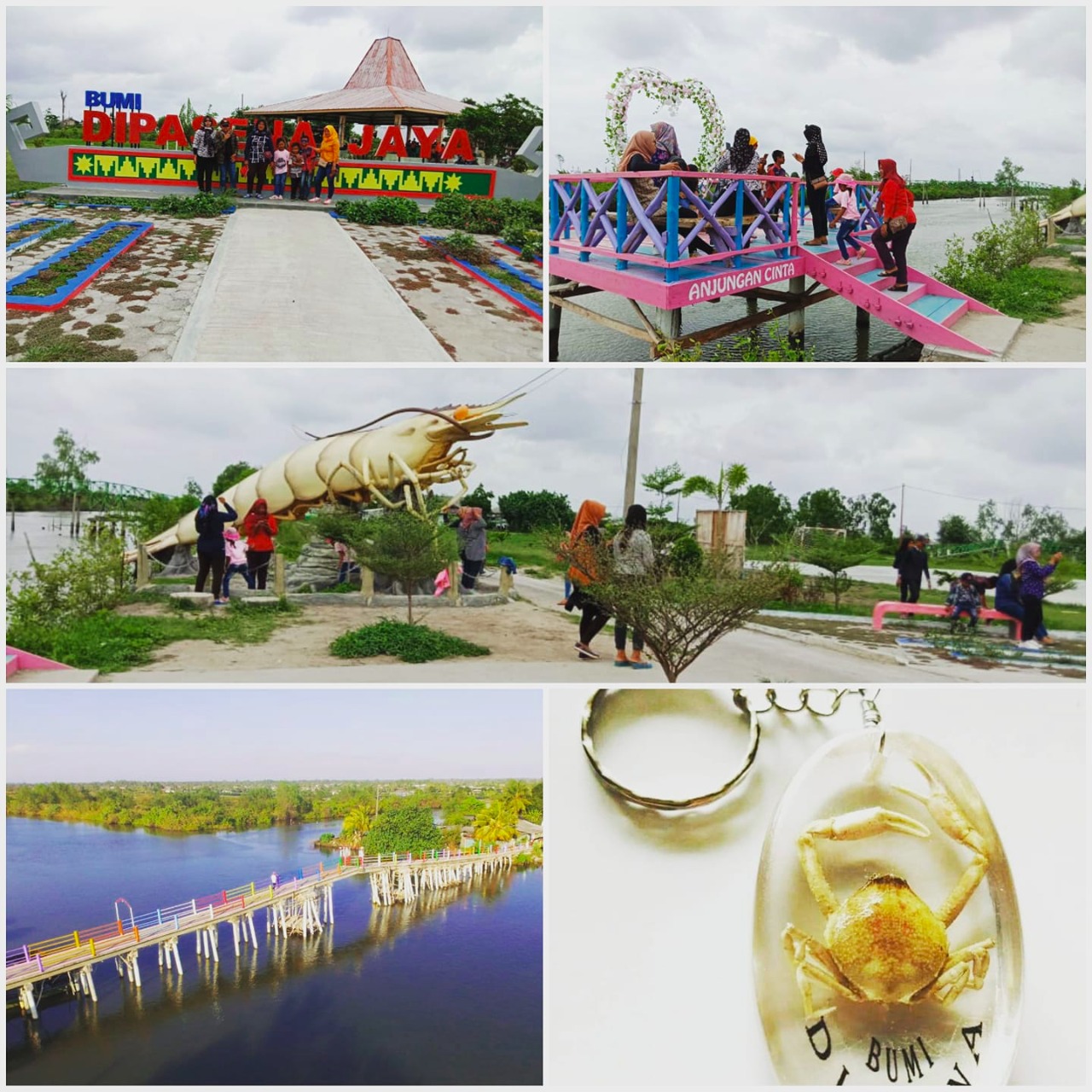 Pesona Dipasena - KNTI